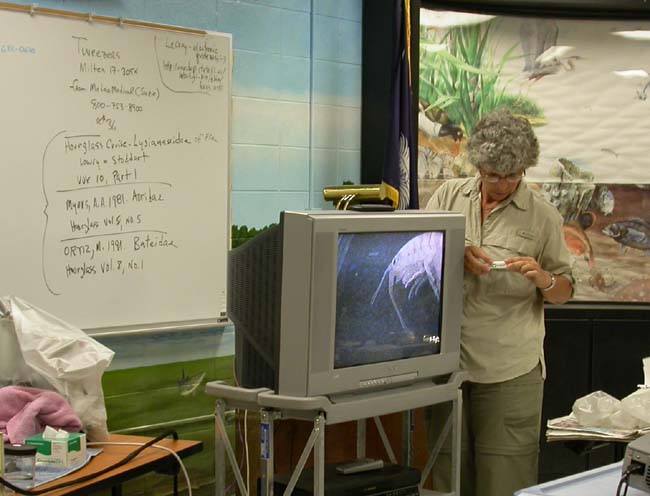 SERTC: Amphipod Workshop